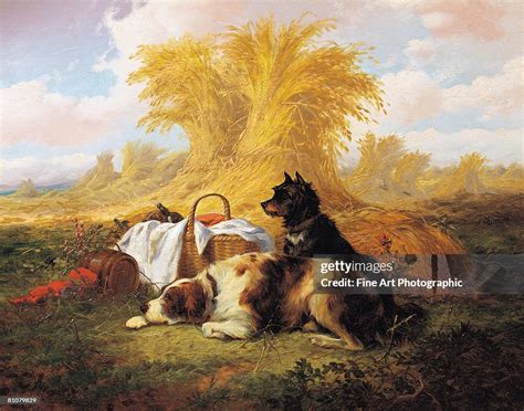 A Soporific Afternoon High Res Vector Graphic Getty Images