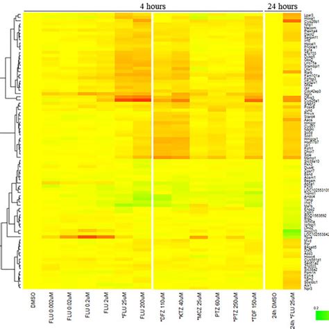 Hierarchical Clustering Of Gene Expression In Rat Embryos Exposed To