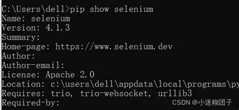 最新版seleniumpython环境安装python310兼容selenium Csdn博客