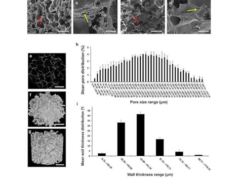 Sem Micrographs Of The A B Surface And Respective C D