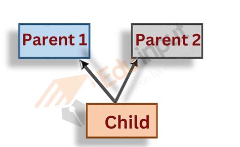 Inheritance In C Advantages And Categories