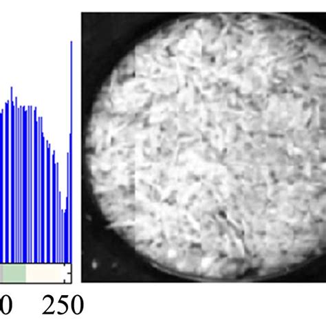 Histogram Of The Hyperspectral Image And Image After Threshold Download Scientific Diagram