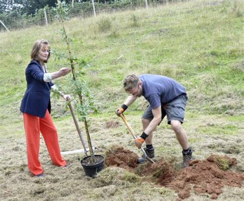 Plant A Tree For The Jubilee And Make Shropshire Stand Out Shropshire Council Newsroom