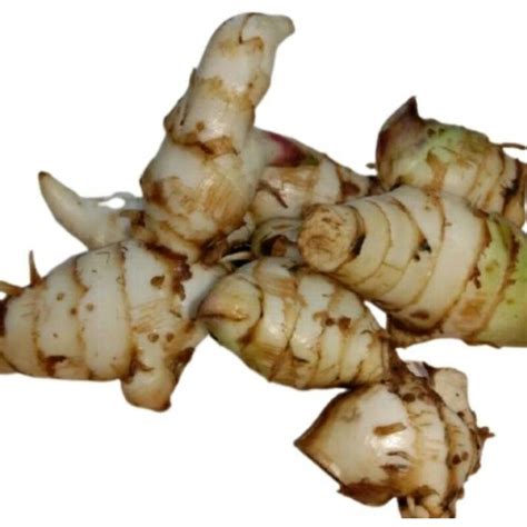 Jual Ubi Ganyong 1 Kilogram Shopee Indonesia