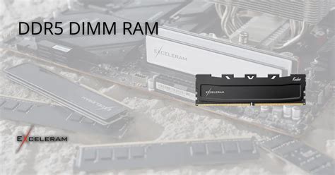 DDR U DIMM RAM Exceleram High Quality RAM Since