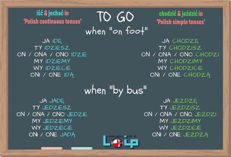 Polish Verbs Of Movement Loip Angielski Online Learn Polish Polish Language Verb