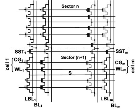 Schematic Layout Of A 2t Fn Nor Array Architecture Sst Indicates The