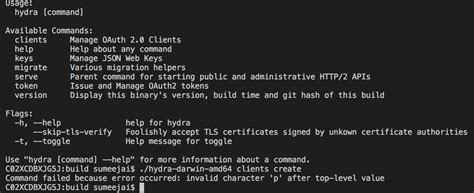 fixing hydra errors in sam 21 troubleshooting sam2 config module issues