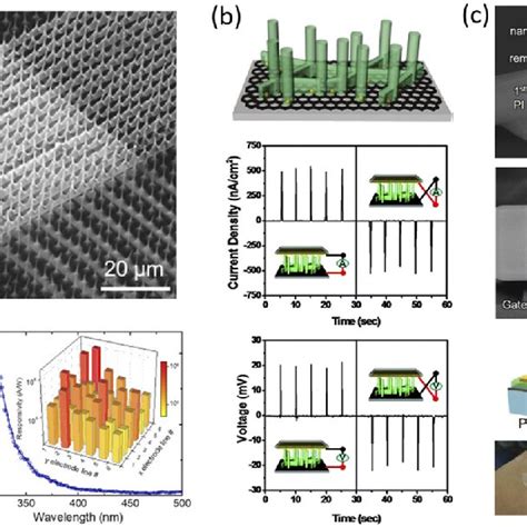 Vertical Electronic Devices Based On 1d Zno Nanostructures Grown On Download Scientific Diagram