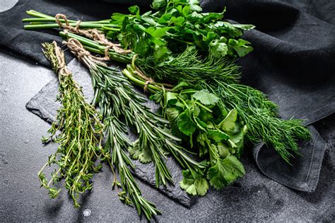 신선한 허브 고수 로즈마리 백리향 딜 파슬리의 구색 신선한 조미료의 무리 검은 색 배경입니다 맨 위 보기 0명에 대한 스톡 사진 및 기타 이미지 Istock