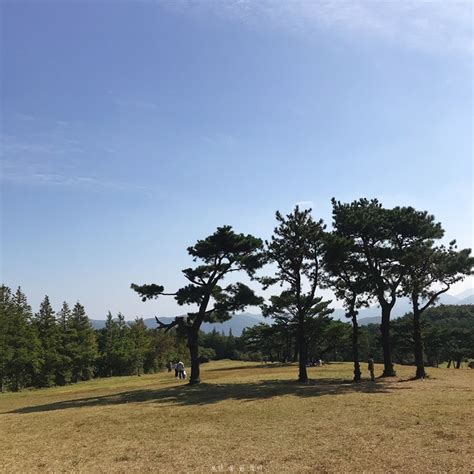 [국내여행 ] 경주여행 경주 가볼만한곳 경주 화랑의언덕 캠핑클럽 촬영지 캠핑클럽 경주 네이버 블로그