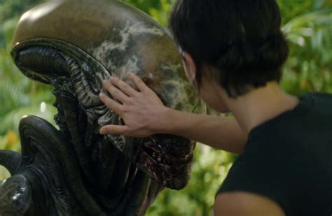 Taming A Xenomorph Can Xenomorphs Become Friendly Avp Central