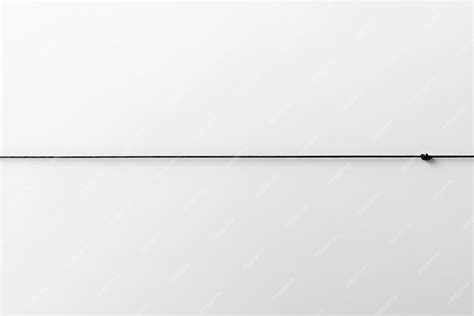 minimalist quote with a single black line separating text on a white