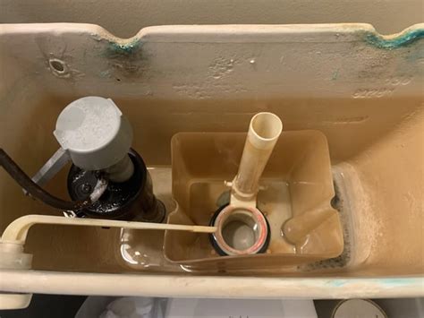 How To Remove This Flapper Bucket R Plumbing