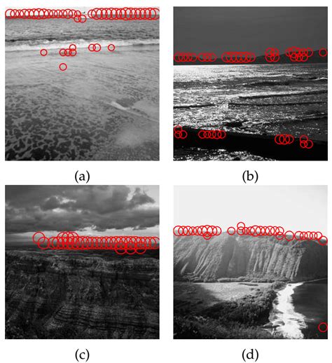 Learning Discriminative Hierarchical Representations For Visual Recognition