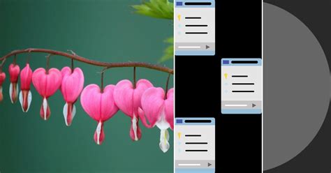 List Programming Curated By Jenny Mai Medium