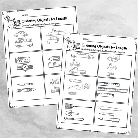 Ordering Objects By Lengthcomparing Lengths Worksheet By The Rabbit Studio