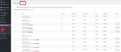 How To Optimize Your WordPress Database In Two Easy Ways WPKlik