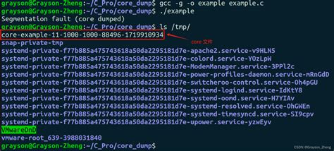 浅谈 linux 中的 core dump 分析方法 csdn博客