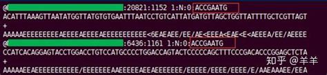生信（十）——利用kseqh和regexh实现类似grep查找fastq Reads功能的示例 知乎