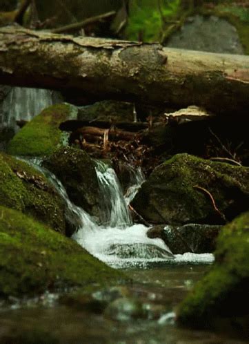 Natural Nature  Natural Nature Mother Earth Discover And Share S