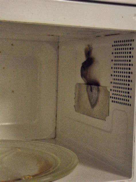 Potterashleigh Blogs Exploding Microwave