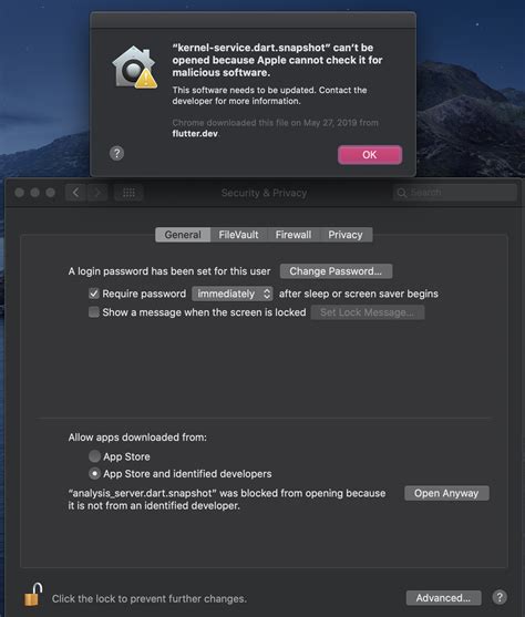 Cant Open Dart Extension In Vs Code After Upgrading To Macos Catalina Beta1015 · Issue 1873