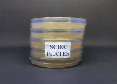 SCDA Agar Plate For Laboratory Capacity Ml At Plate In Hyderabad