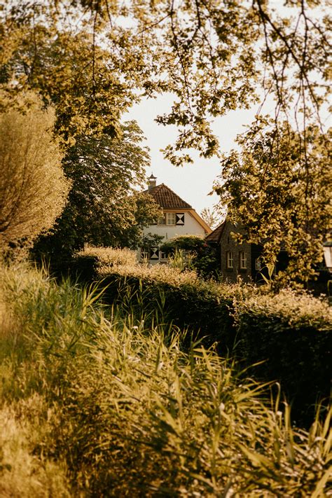 경치 경치가 좋은 고요한 구식 나무 나뭇잎 녹색 농촌의 들판 러스틱 마을 마을 생활 목가적 인 목가적인 빈티지 삼림지대 생울타리 생태학의