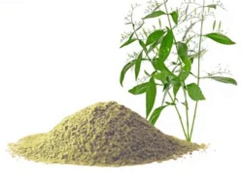 Andrographis Extract At Best Price In Bhagwanpur By Silveron Industries Private Limited Id