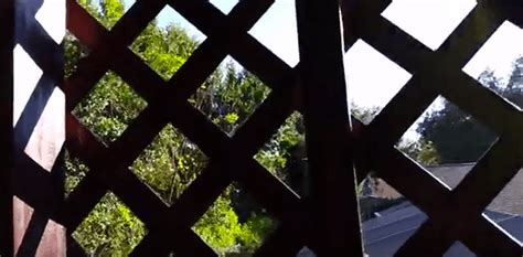 How To Build A Treehouse Without A Tree Simple Video Tutorial The Saw Guy