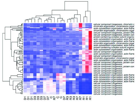 Non Genic Peaks Annotated With Go Biological Process Of Degs Which Are Download Scientific