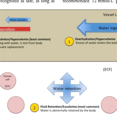 Causes Of Hypotonic Hyponatremia Differentiated By Volume Status Download Table