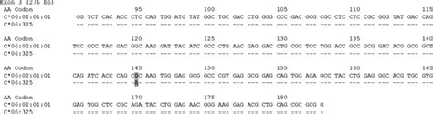 alignment of the exon exon 3 nucleotide sequences of c 06 02 01 01 and