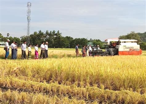 ကျောက်ဆည်မြို့နယ် အရှေ့ရွာနန်းကျေးရွာတွင် နိုင်ငံ့စီးပွားမြှင့်တင်ရေးရန