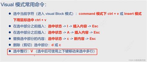 自动在新文件中添加编程文件头 csdn博客