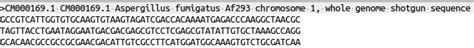 Hands On Genome Annotation Genome Annotation Genome Annotation