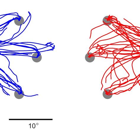 reconstructed 2 d neural cursor trajectory estimation for session 6