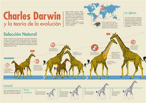 Charles Darwin Y La Teoría De La Evolución Teoria De La Evolucion