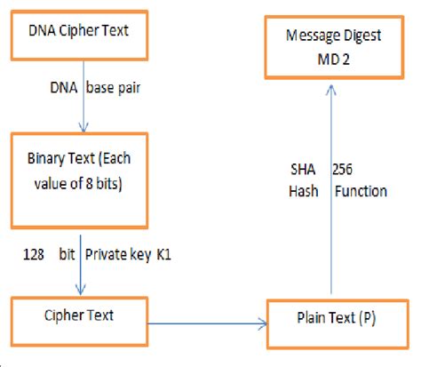 Working Of The System At Other Side Figure 7 Depicts The Decryption Download Scientific Diagram