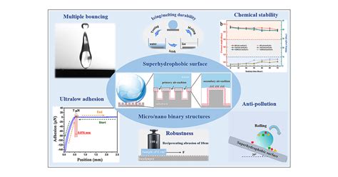 Durable Biomimetic Two Tier Structured Superhydrophobic Surface With