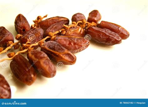 Dried Palm Dates Stock Photo Image Of Growing Fruiting 78063182