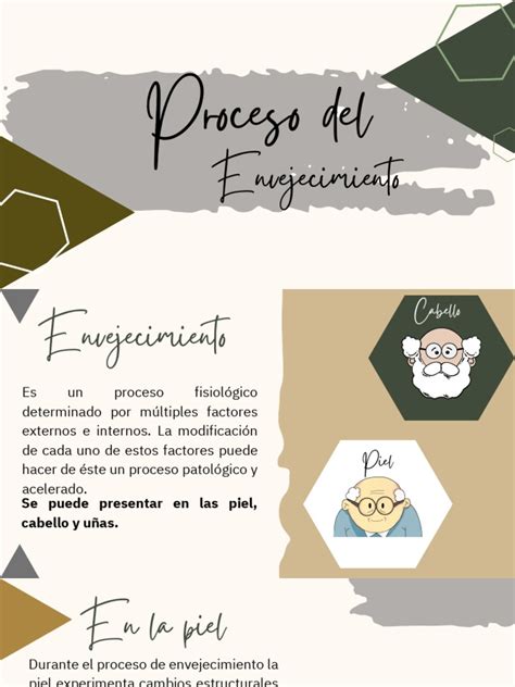 Proceso Del Envejecimiento Pdf Piel Clavo Anatomía