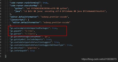 【掘虫者说】vscode安装golang控制台运行go The Term Go Is Not Recognized As A Name Of A Csdn博客