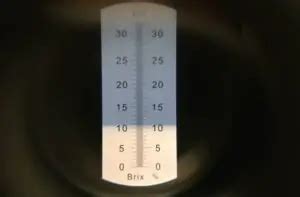 How To Read A Brix Refractometer Quick Guide ExpertBrewing Com