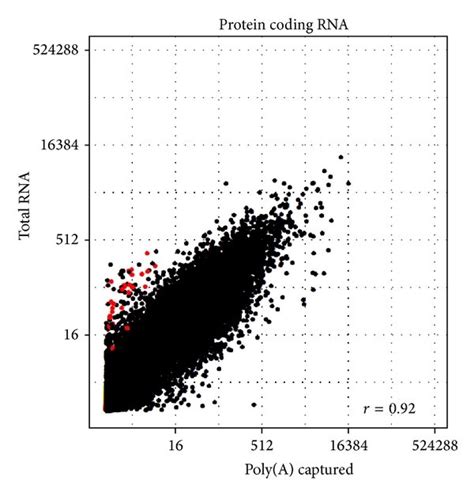 Rna Expression Level Consistency Between Polya And Total Rna Library