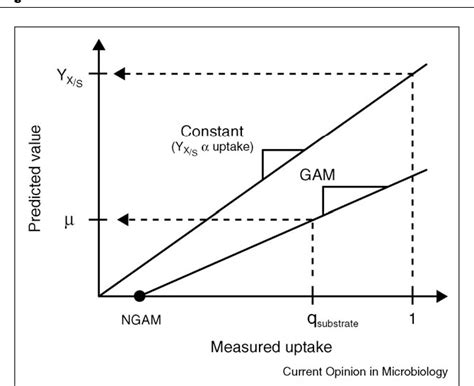 Figure 1 From The Biomass Objective Function Semantic Scholar