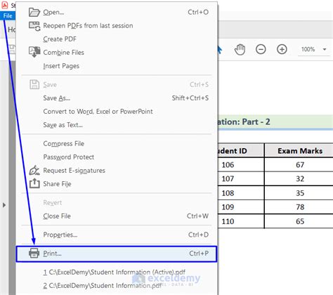 How To Print Multiple Excel Sheets In A Single Pdf File With Vba 6 Methods Excel Vba Print Pdf