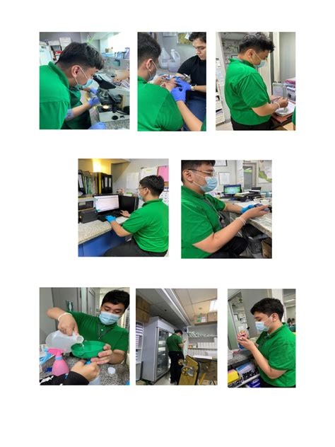 Pca Documentation Pictures Pdf