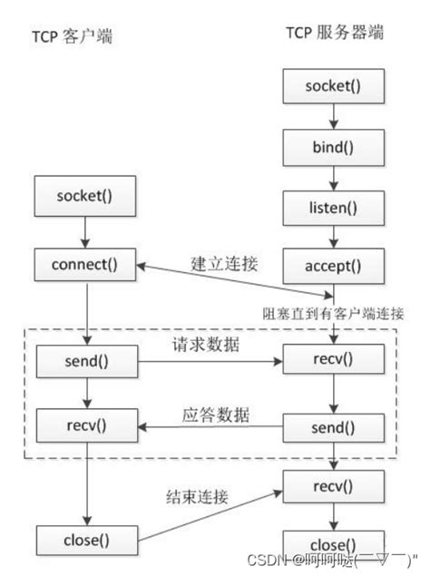 基于多反应堆的高并发服务器【c c reactor】（上） c 高并发服务器 csdn博客